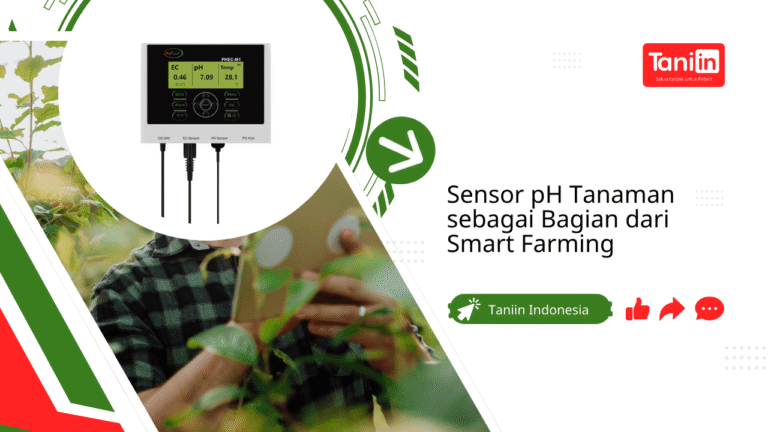 Sensor pH Tanaman sebagai Bagian dari Smart Farming